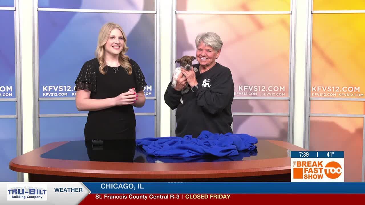 Heartland Pets: Meet Tahlia - YouTube