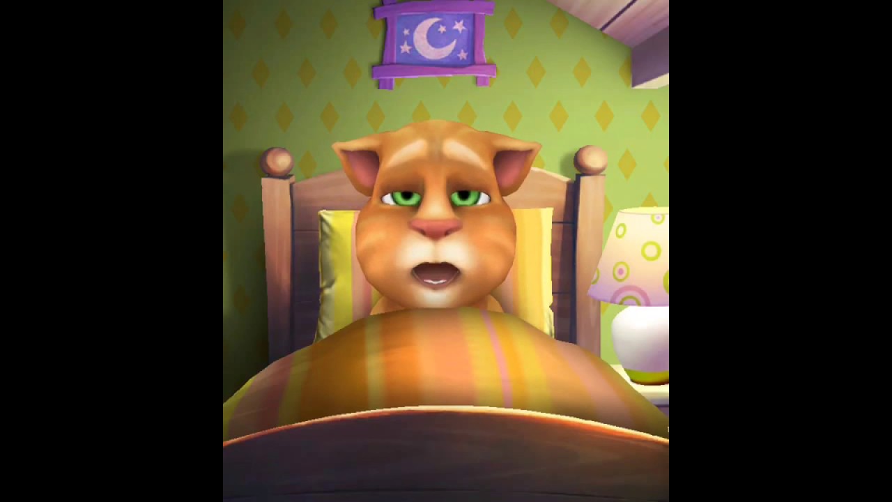 my tom's home - YouTube