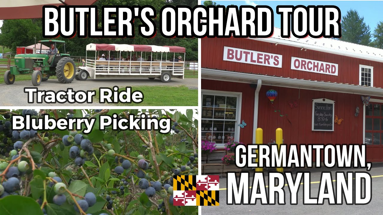Exploring the Charm of Butler's Orchard: A Farm Tour in Germantown, MD ...