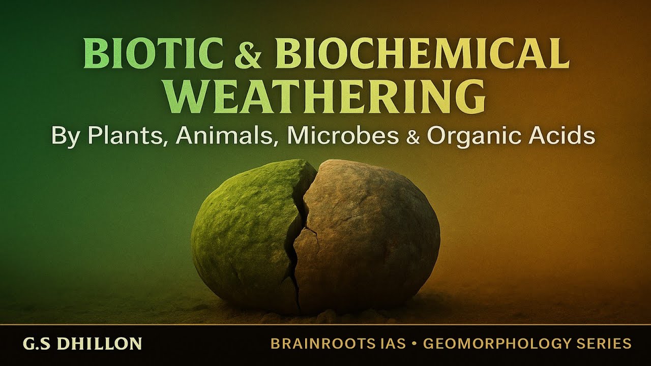 L55 - Biotic & Biochemical Weathering : The Living Forces Behind ...