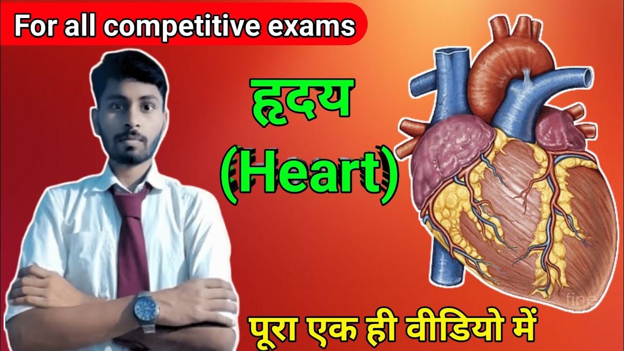 मानव हृदय की संरचना व कार्य | Human Heart Structure & Function with ...