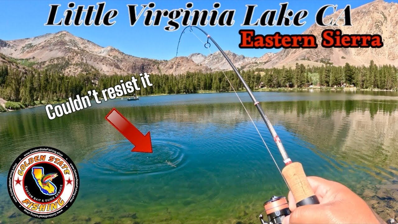 Little Virginia Lake Ca Eastern Sierra Trophy trout fishing Lakes - YouTube