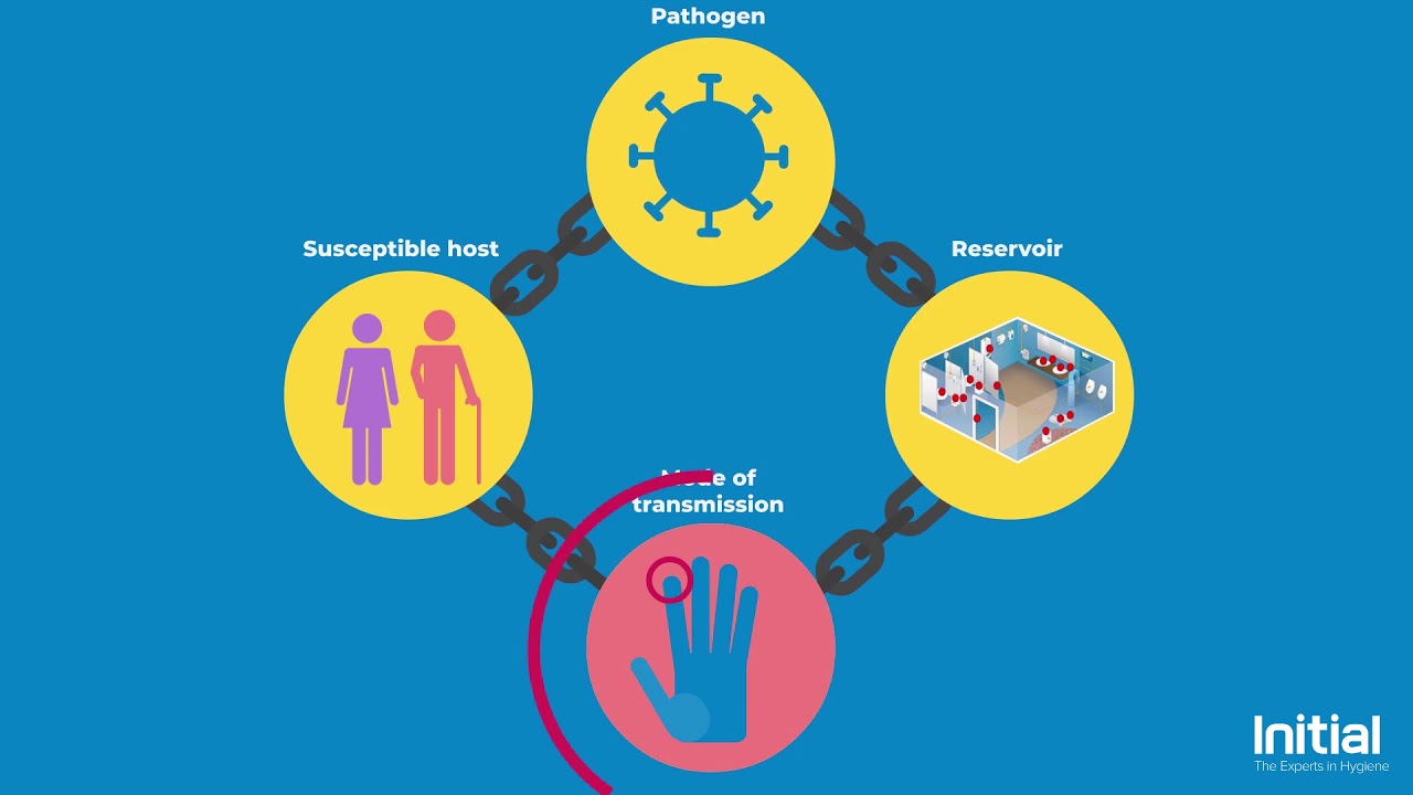 Breaking the Chain of Infection | Initial Washroom Hygiene - YouTube