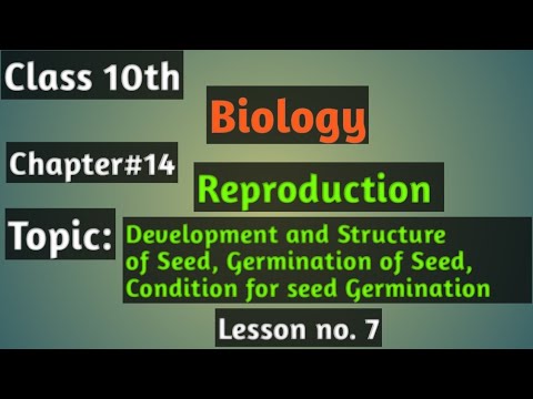 Class 10 Biology | Chapter 14 Reproduction | Development, Structure ...