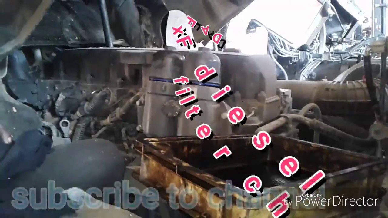 DAF xF diesel filter change/Daf xf එකේ diesel filter මාරු කරන්නේ ...