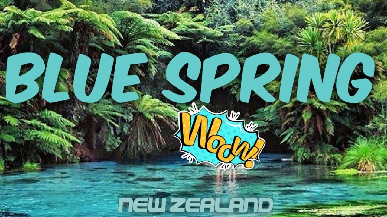 Blue Spring in New Zealand | Te Waihou Full Walkway - YouTube