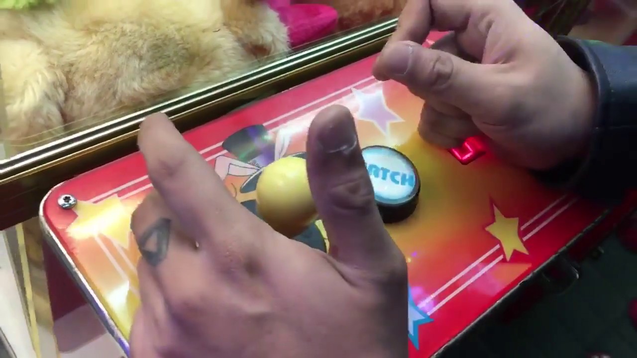 Living Cat Relaxes with Stuffed Animals Inside Claw Machine - YouTube