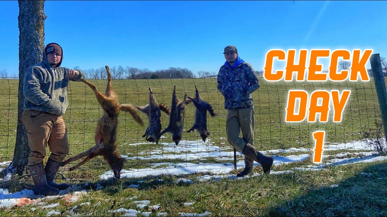 Trapline Vlog | Check Day #1 | Kentucky Trapping - YouTube