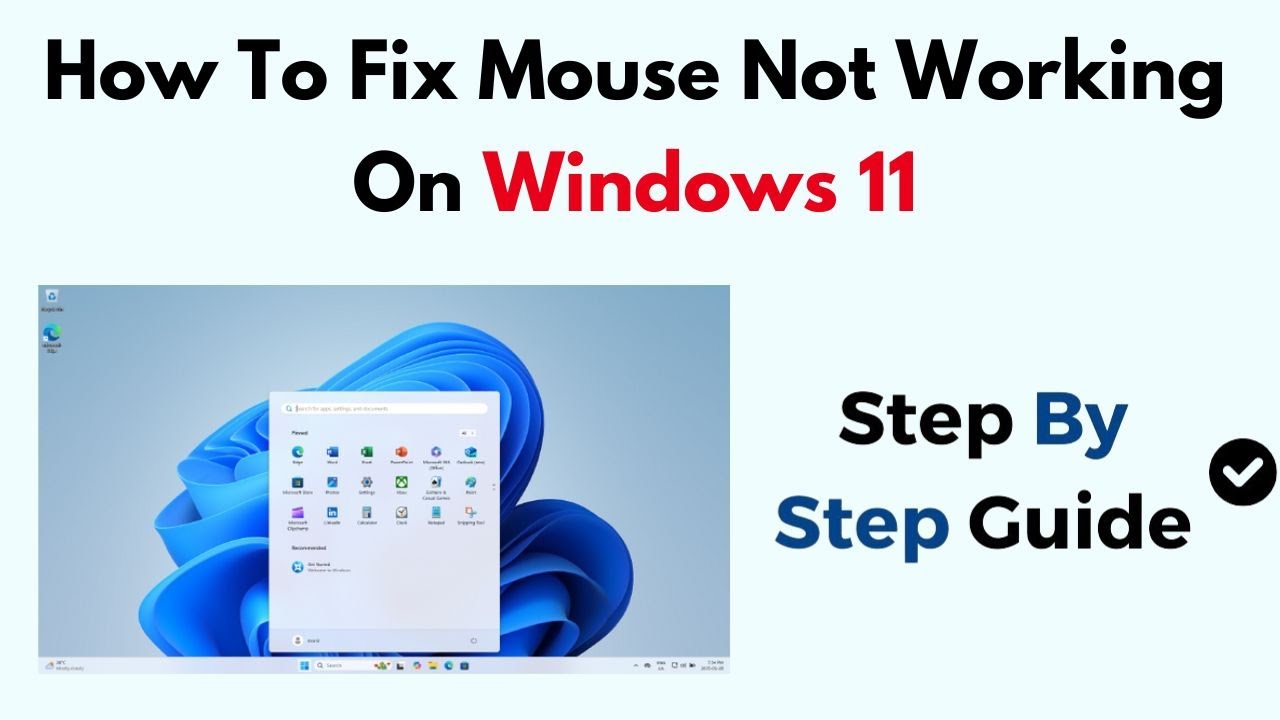 How To Fix Mouse Not Working On Windows 11 - YouTube
