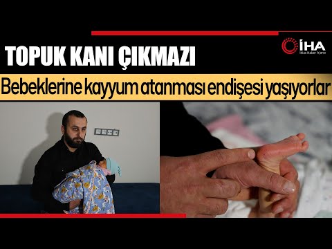 Topuk kanı çıkmazı : Bebeklerine kayyum atanması endişesiyle yaşıyorlar