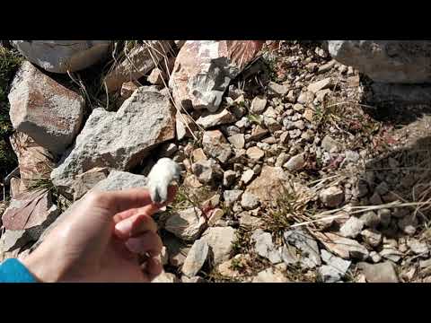 ILGAR DAĞI Zirve- 2918 metre... zirvedeyiz. :)