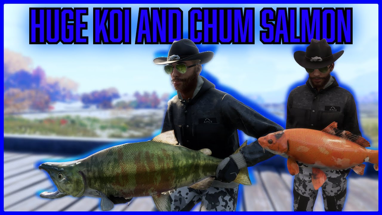 I Caught Huge Feral Koi and Chum Salmon - YouTube