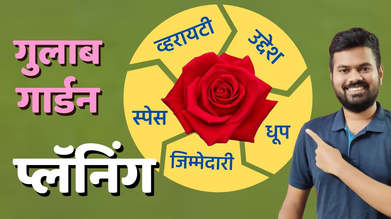 Rose Gardening Plan | How to Plan your Rose Garden - YouTube