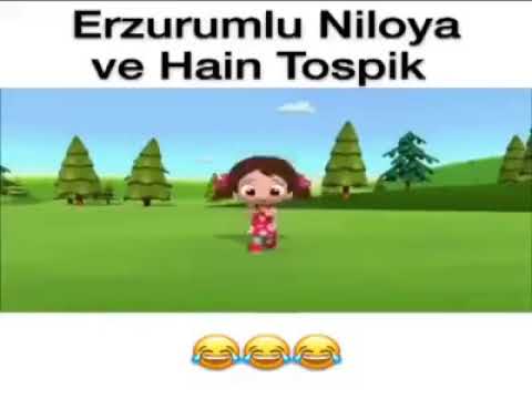 Niloya