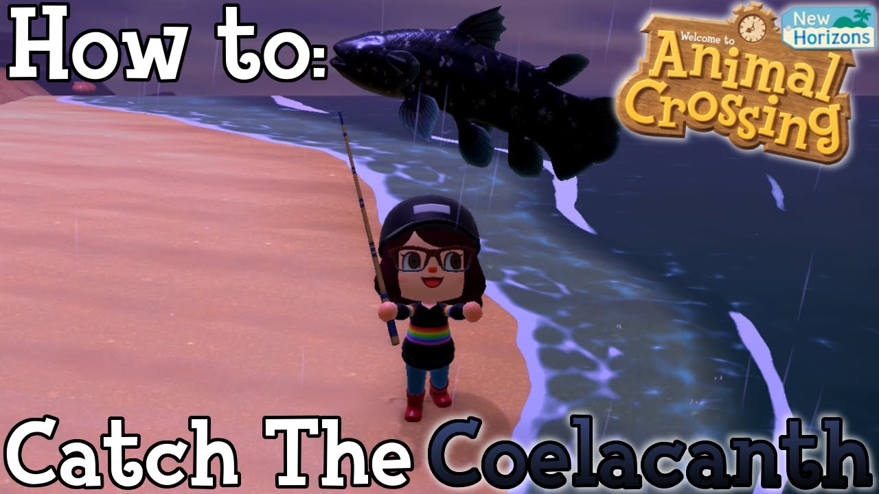 Animal Crossing New Leaf Coelacanth Shadow