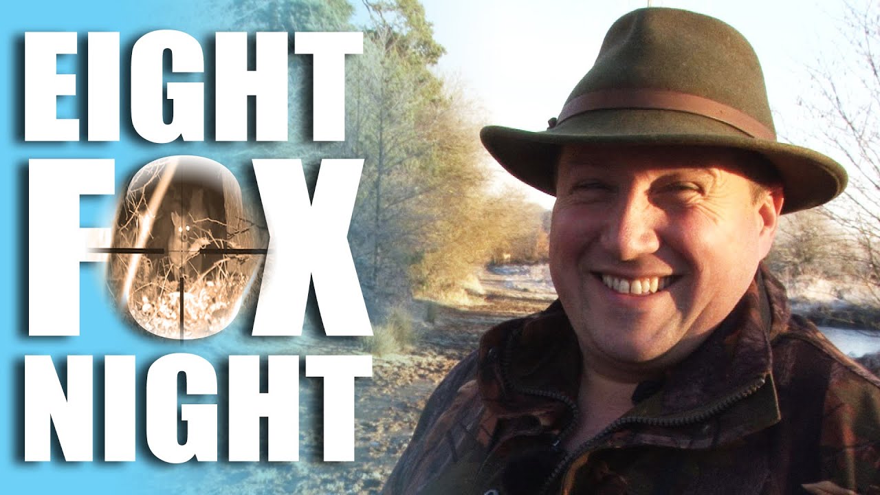Eight Fox Night - YouTube