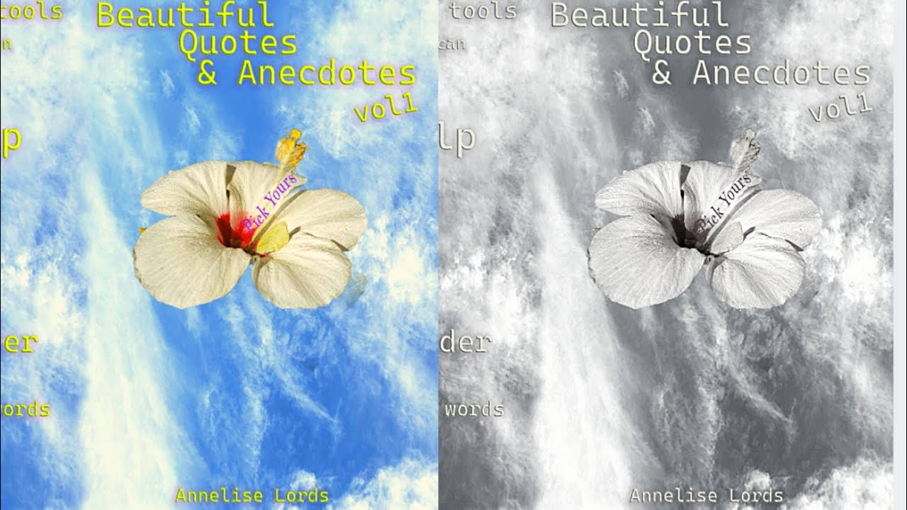 Excerpts From 'Beautiful Quotes & Anecdotes Vol.1' by Annelise Lords ...