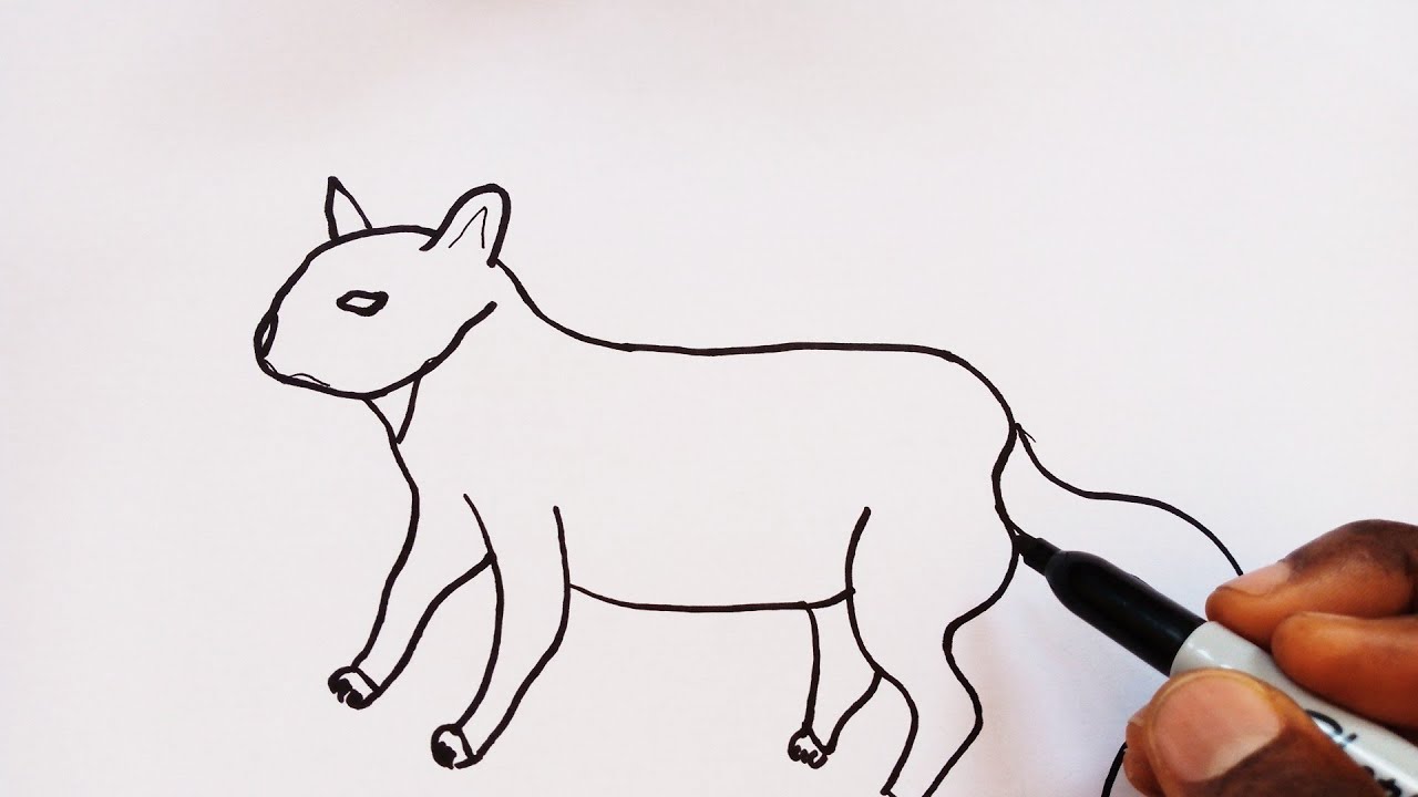 HOW TO DRAW A BINTURONG - YouTube