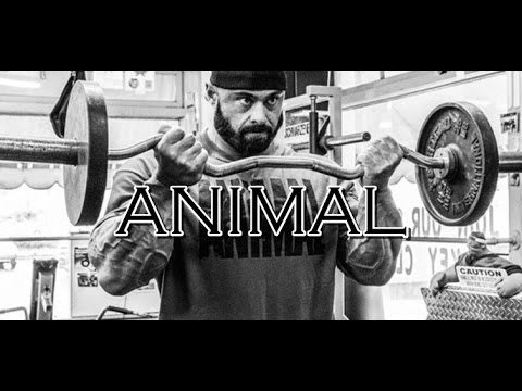 LIFE OF AN ANIMAL [HD] Bodybuilding Motivation - YouTube