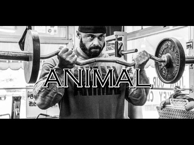 Animal Bodybuilding Inspiration