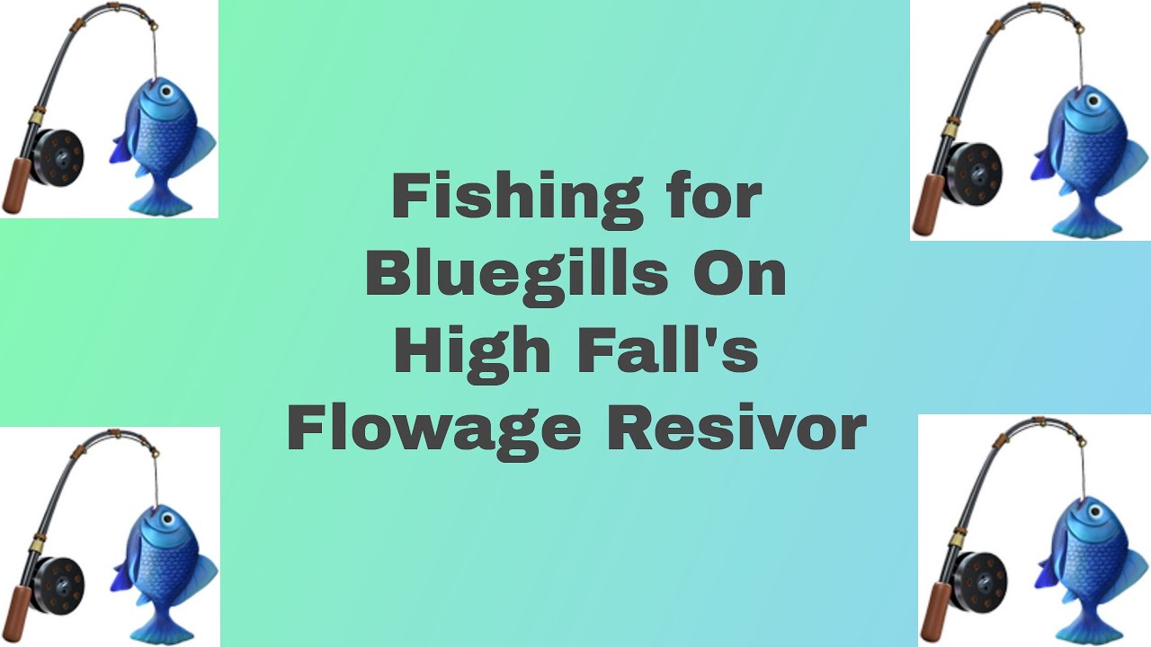 Bluegill fishing At High Falls Flowage Resivor - YouTube