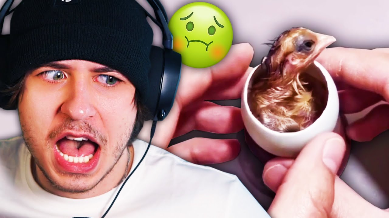 We CAN T Explain These Videos YouTube we-can-t-explain-these-videos-youtube