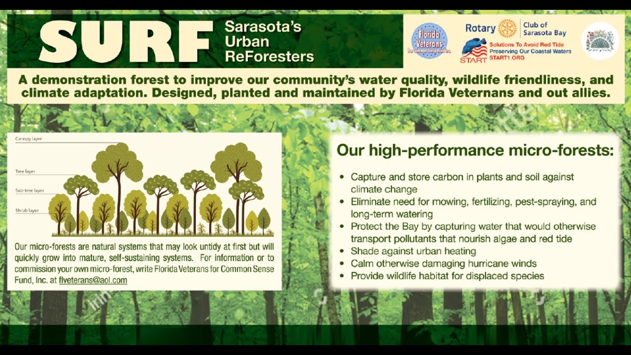 SURF Microforest at The Celery Fields Sarasota, Fl - YouTube