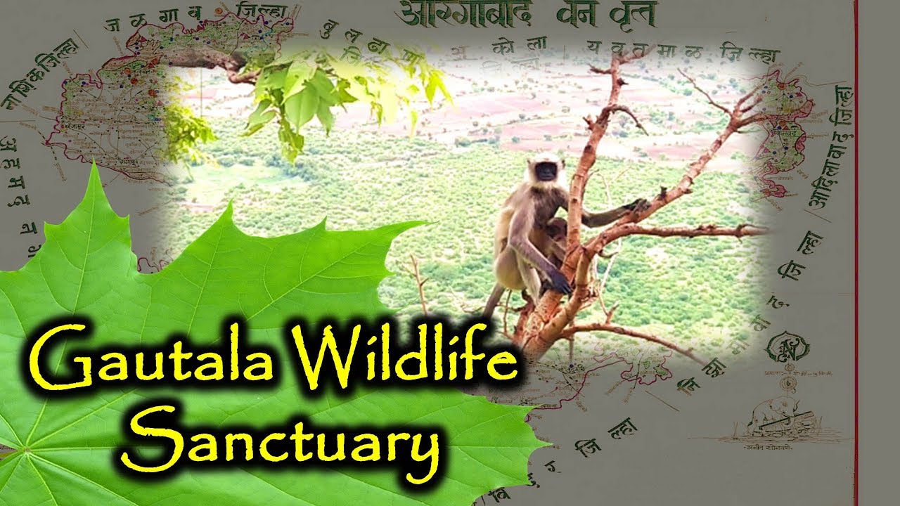 Gautala Wildlife Sanctuary | wildlife Tourism - YouTube