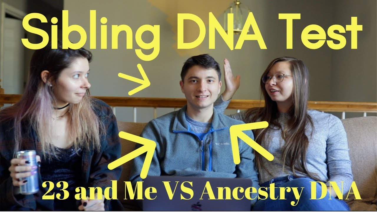 Sibling DNA Results (Are we related?) - YouTube
