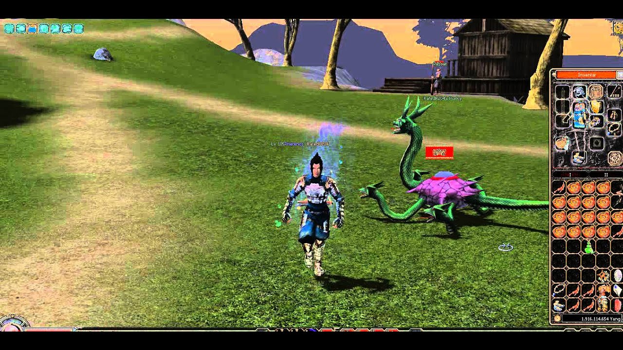 Metin2 - Hydra Pet - RatedR203 - YouTube