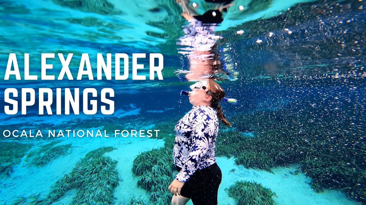 Alexander Springs National Park | Ocala National Forest | Florida ...