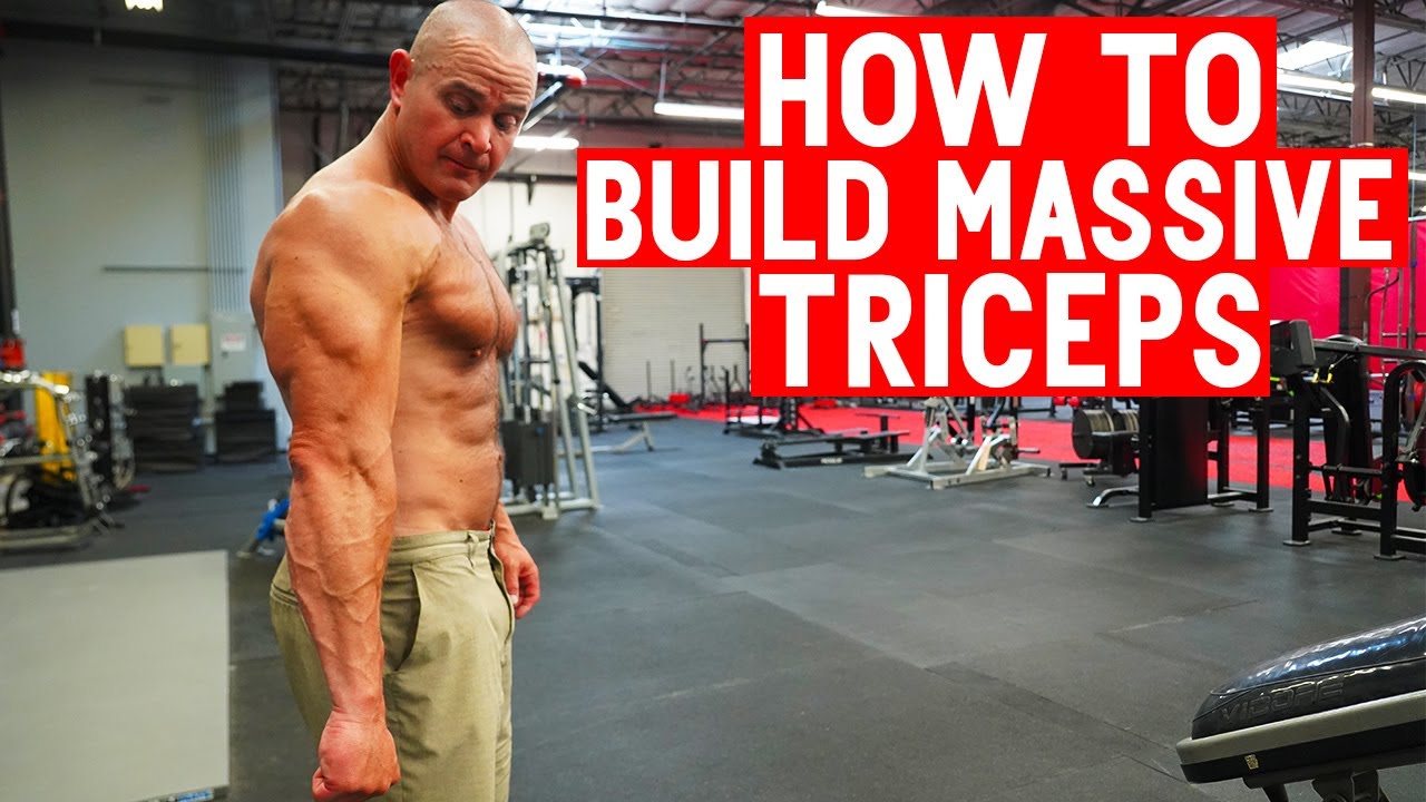 How To Build Massive Triceps - YouTube