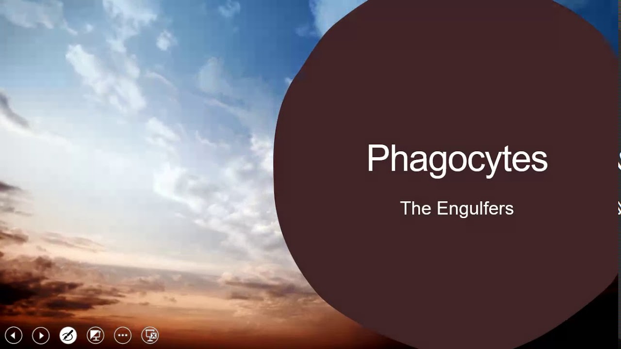 BJC Health science paper one (2018) question 1 - YouTube