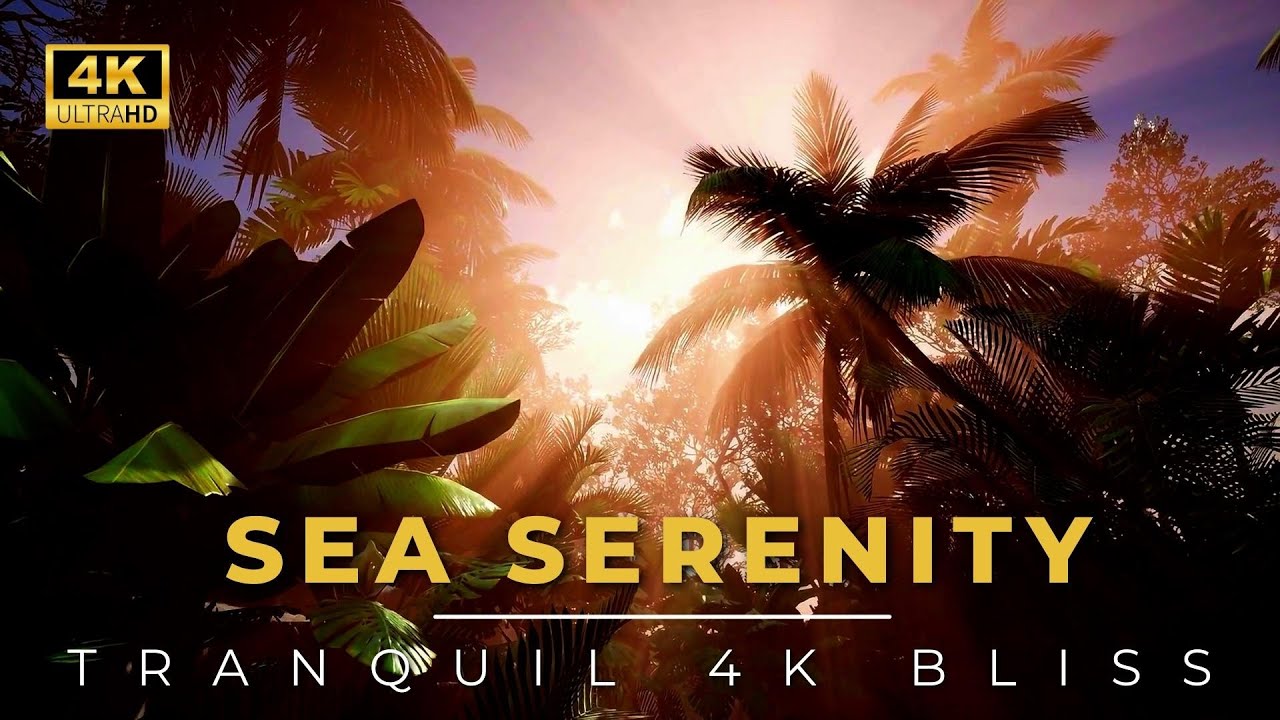 Serenity by the Sea: Relaxing 4K Video with Tranquil Music - YouTube