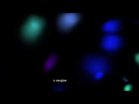 heyif o sevgiye o mehebbete #şeir #keşfet