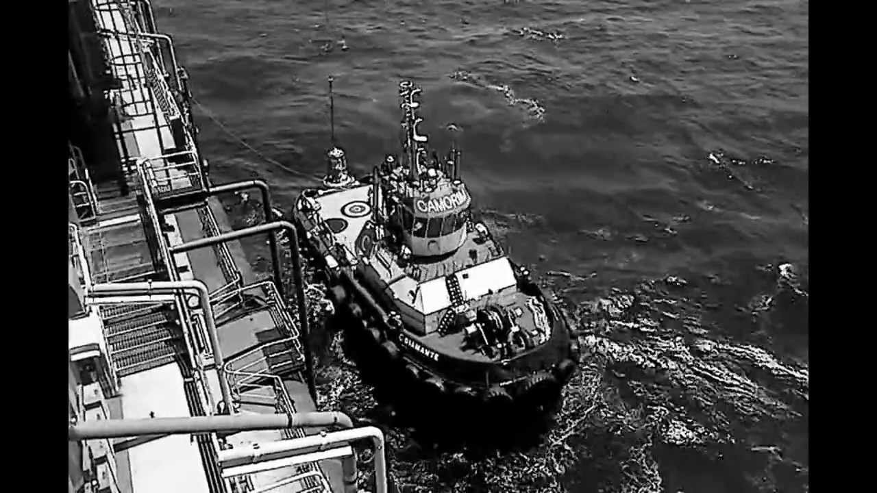 Embarque - Vida de Embarcado - YouTube