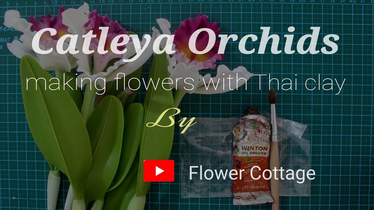 Catleya Orchid # full version | Flower Cottage - YouTube