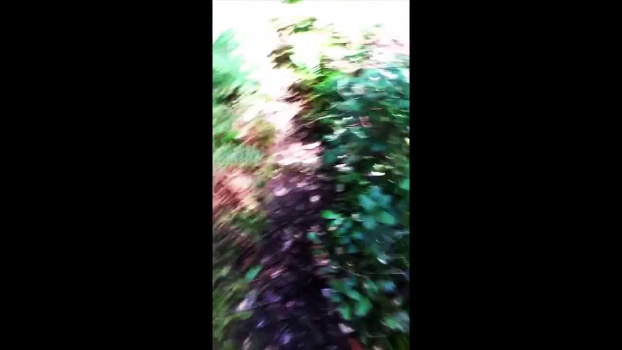 Introduction to Chad - YouTube