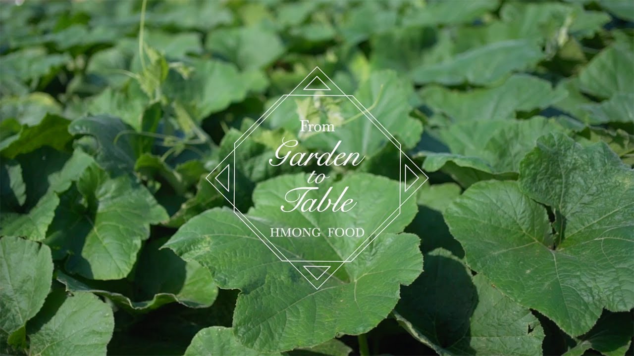 Hmong traditional squash pumpkin leaf tip soup with pork belly - ntsi ...