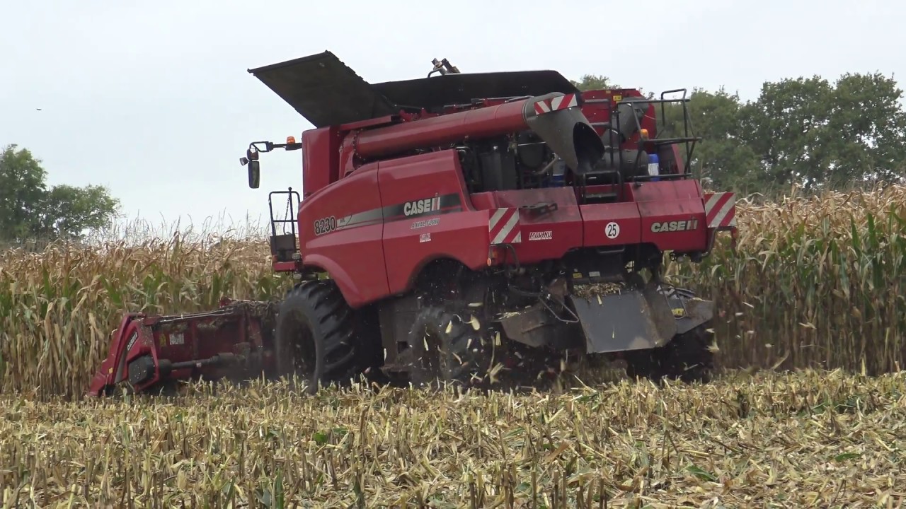 KORRELMAIS DORSEN 2017 CASE IH AXIAL-FLOW 8230 VREDO VT 4556 STEYR 6300 ...