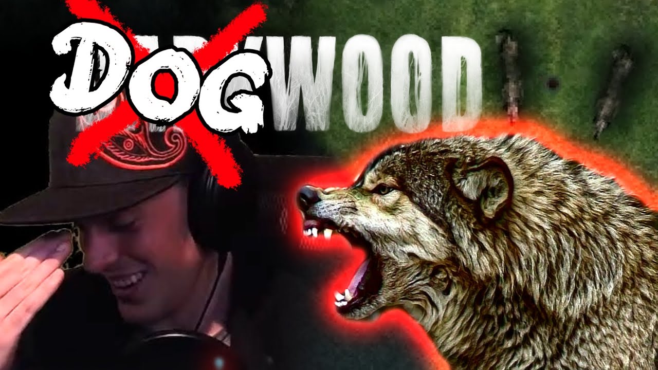 Andy Plays DOGWOOD - YouTube