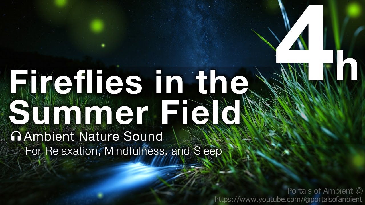 Fireflies in the Summer Field [4 Hour] 🎧 Ambient Nature Sound | For ...