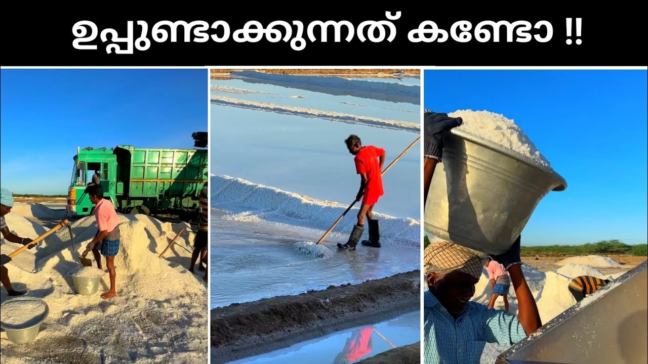 Salt Making In India - YouTube