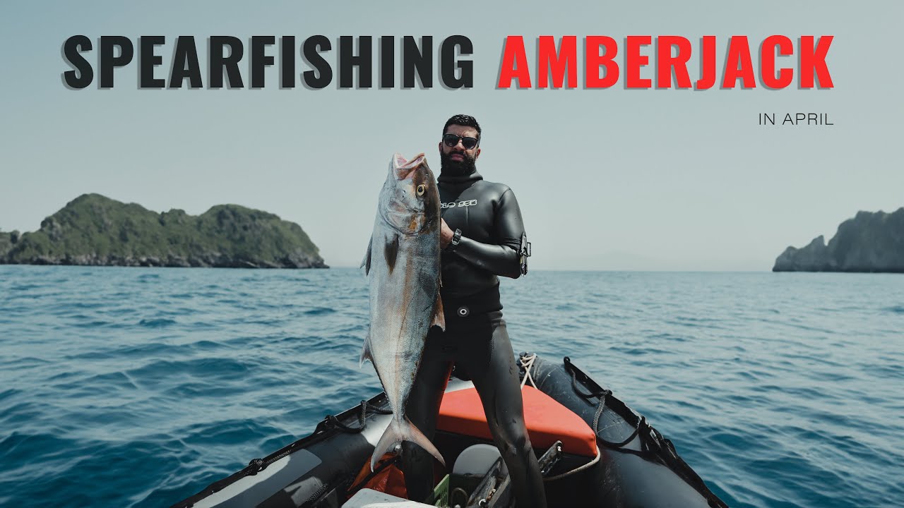 Spearfishing Amberjack- Mediterranean April - YouTube