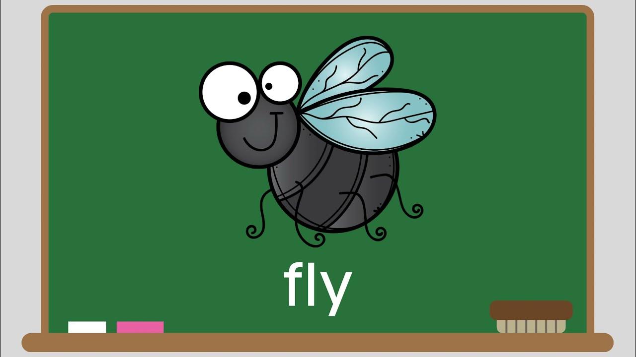 Word Family Y, Phonics, Phonograms, Reading, Virtual School, Online ...