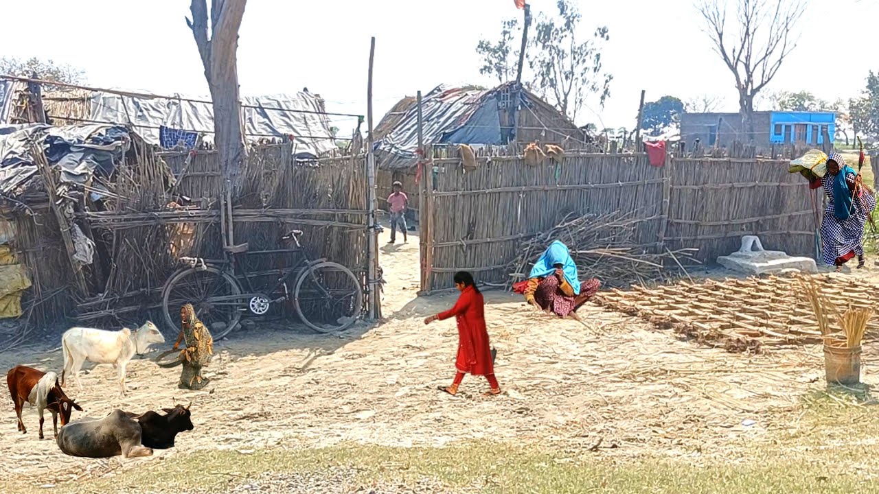 This Is How Poor People Live In India || Real Life India Natural Life ...