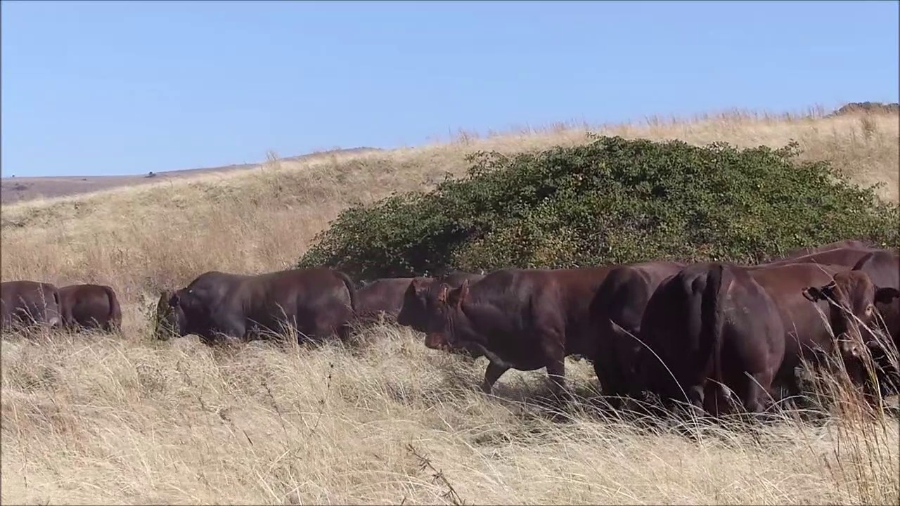 UP GEORGE SALE VIDEO 2017 - YouTube