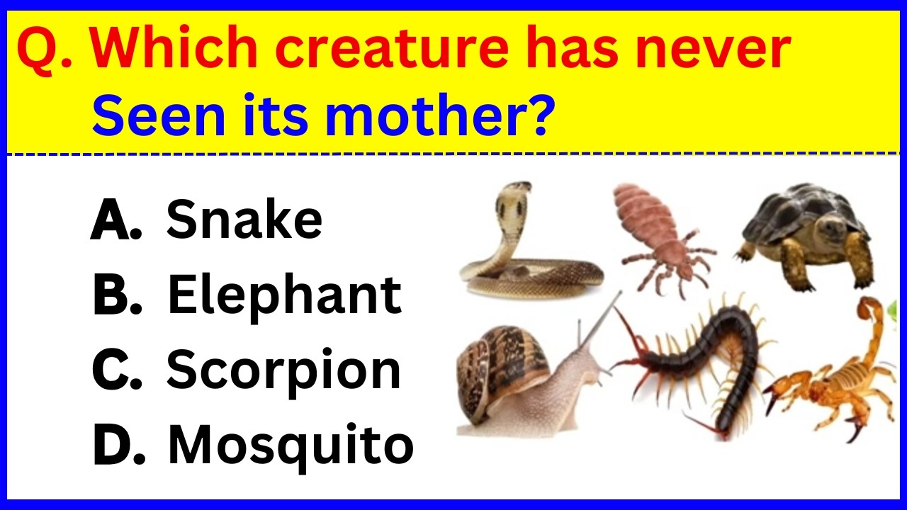 ANIMAL TRIVIA QUIZ #118 - 30 Animals Knowledge Trivia Questions and ...