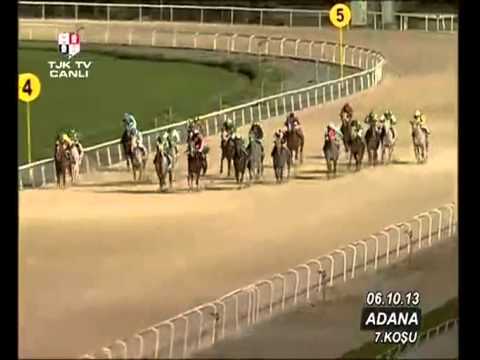 Adana Hipodromu (37. Yarış Günü) 7. Koşusu