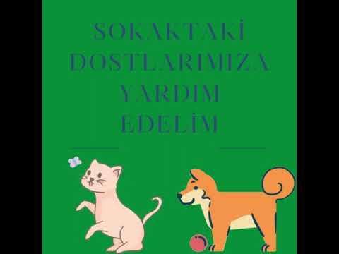 1 kap su bir kap yemek / 10 like gelirse devamı da gelir